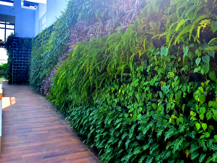 landscape – G.G. Landscape + Construction Pte Ltd